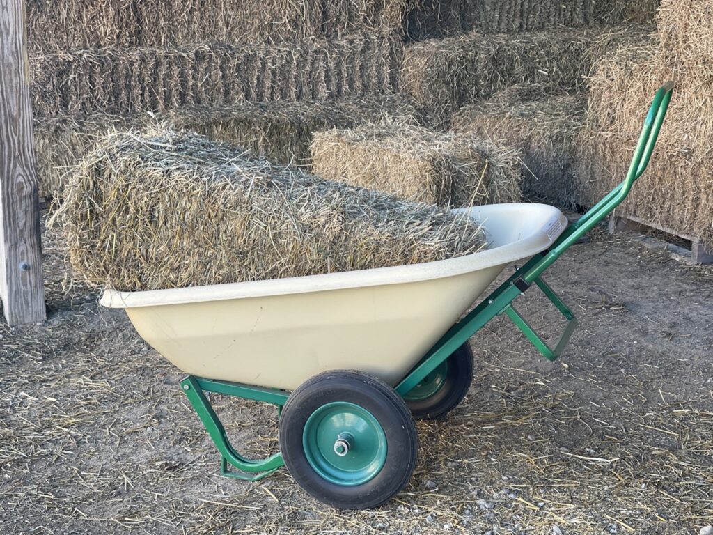 Load Dumper Wheelbarrow - Cashmans