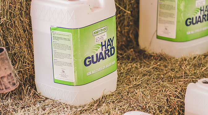 Hay Guard - Cashmans