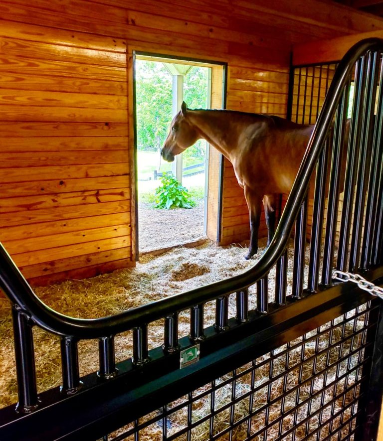 Elite Stall Gates - Cashmans