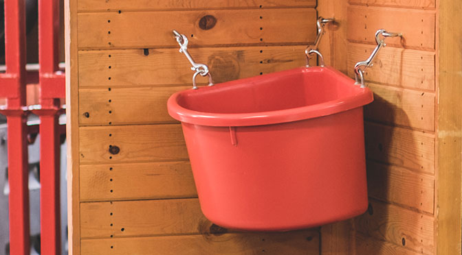 Corner Stall Horse Feeders - Cashmans