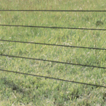 Polyplus Coated High Tensile Wire - Cashmans