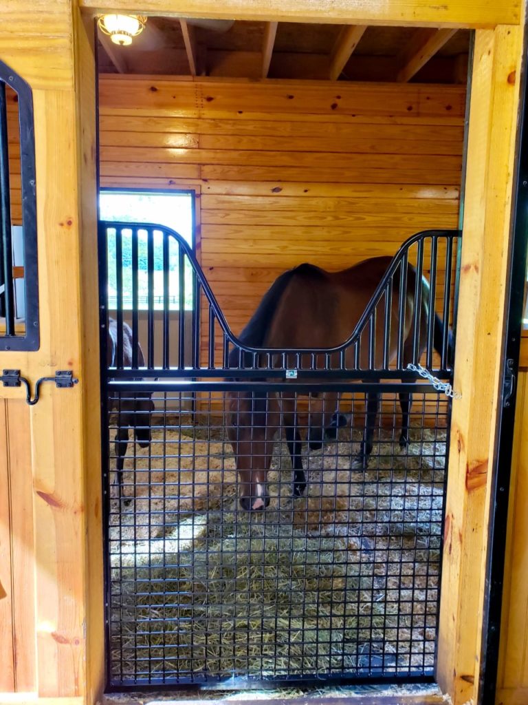 Elite Stall Gates - Cashmans