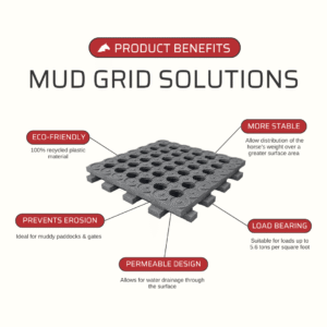 The Magic of Mud Grid - Cashmans