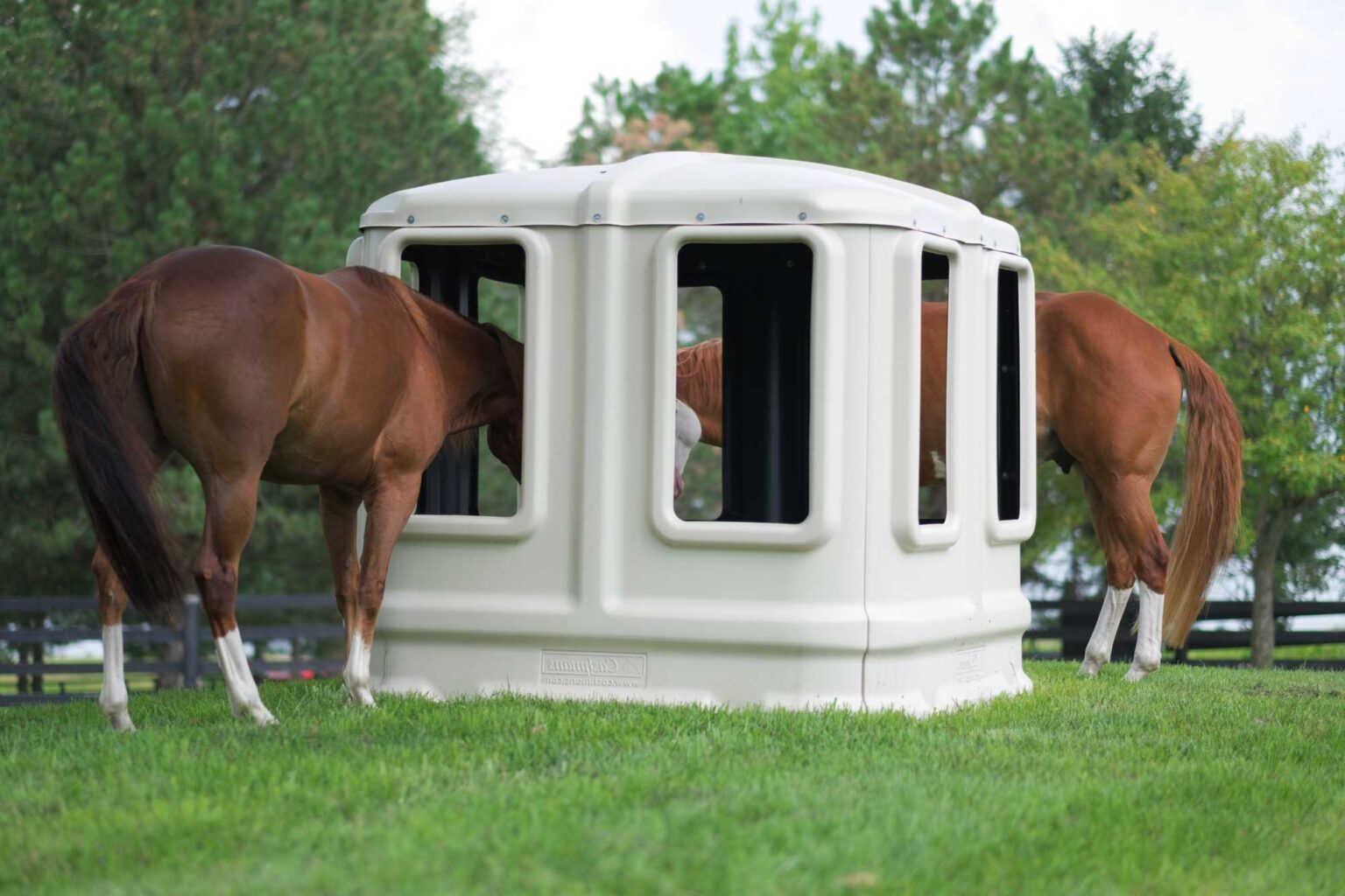Hay Huts - All Weather Outdoor Horse Hay Feeders - Cashmans