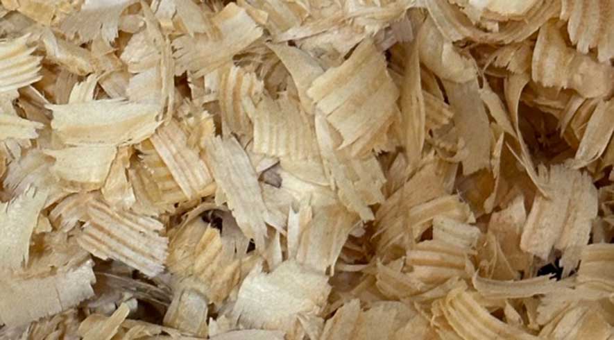 Large Flake Pine Shavings for Small & Large Animal Bedding - Cashmans