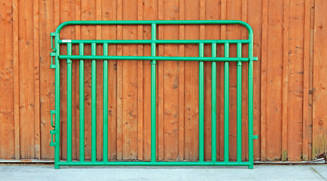 Cashmans Calf Pass Throughs - Cashmans