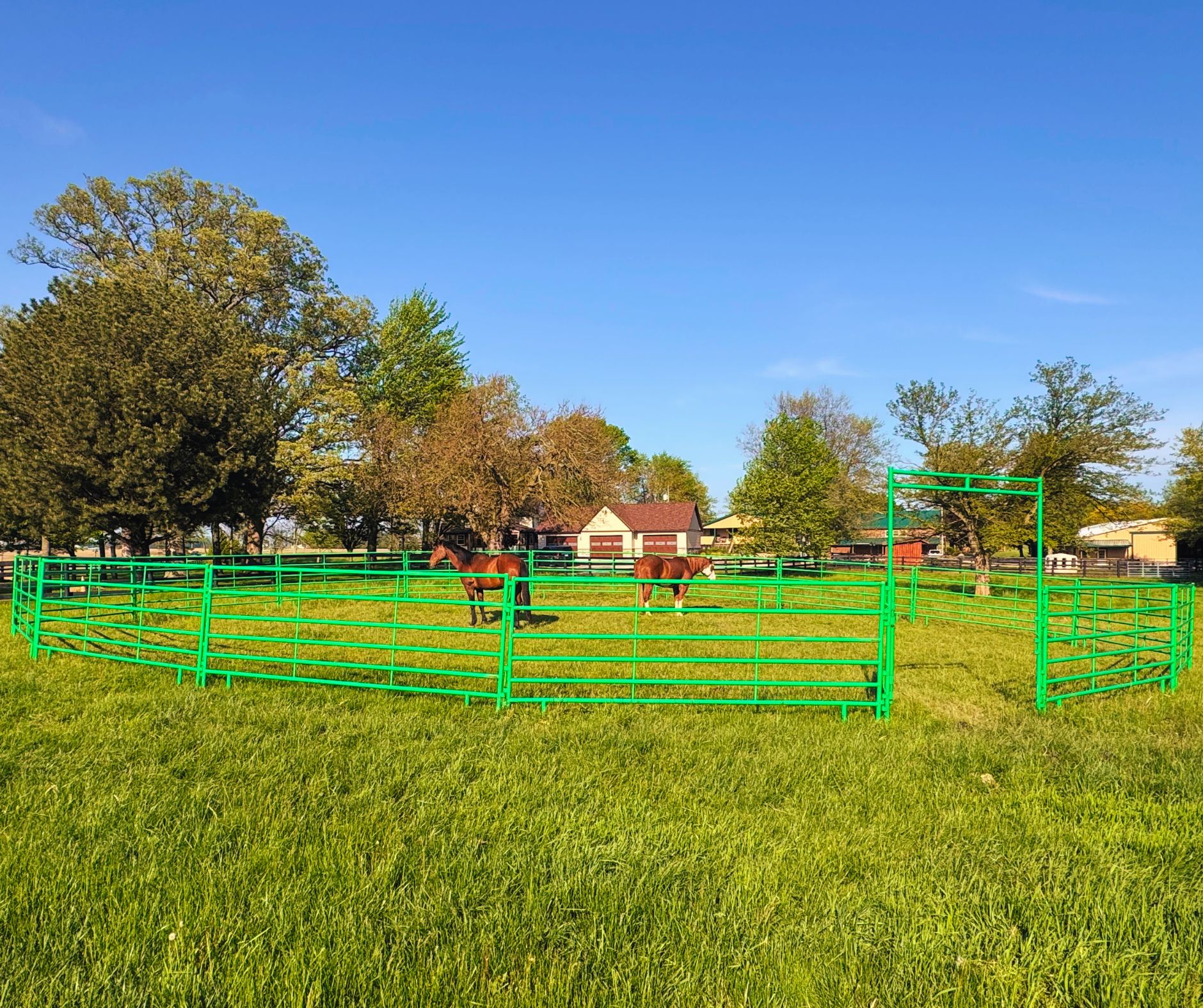 50' Cashman CS Round Pen - Cashmans