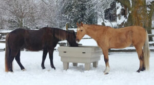 Hay Optimizer - Cashmans